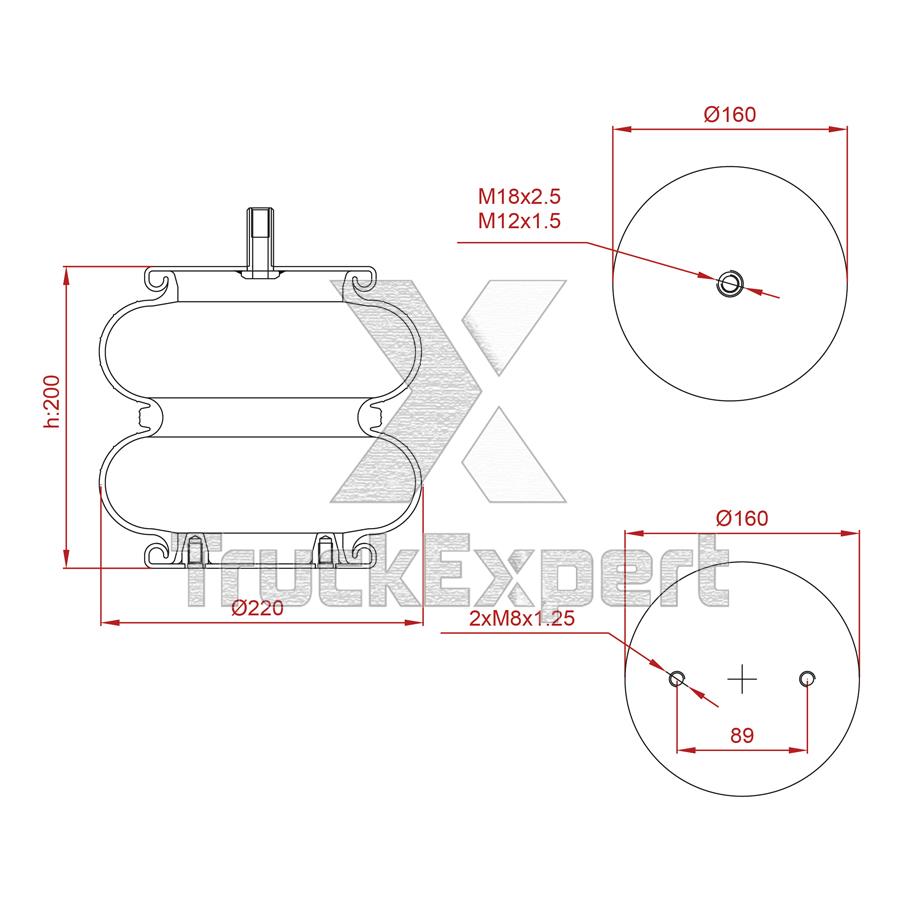2 CONVOLUTED AIR SPRING - E2D 220 - SUSPENSION - AIR SPRING AND PISTON ...